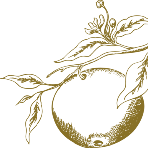 Scottish High Tea (Evening) - Pendray Tea House